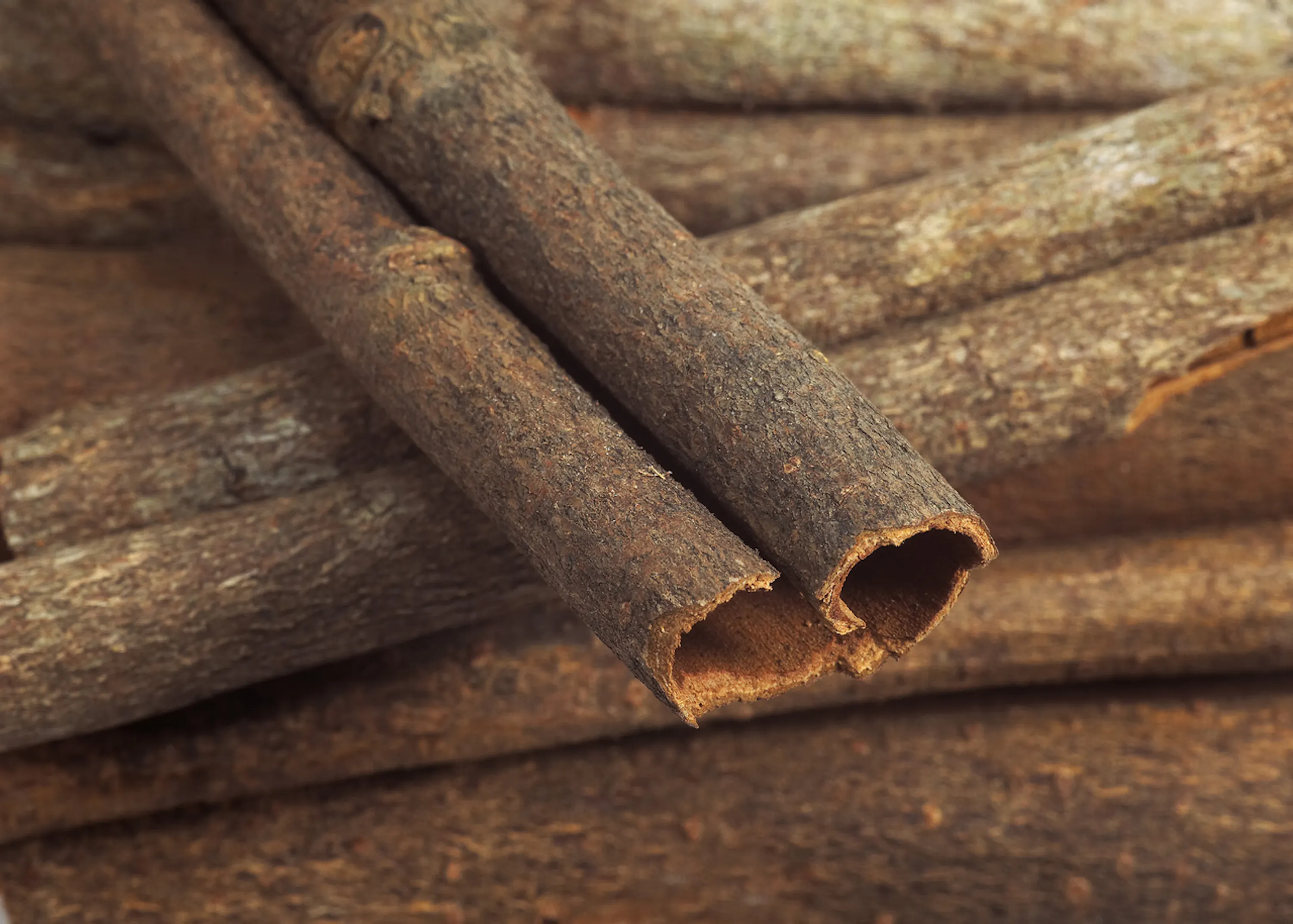 Cannelle de Ceylan en poudre bio 500 g à acheter en ligne | KoRo France