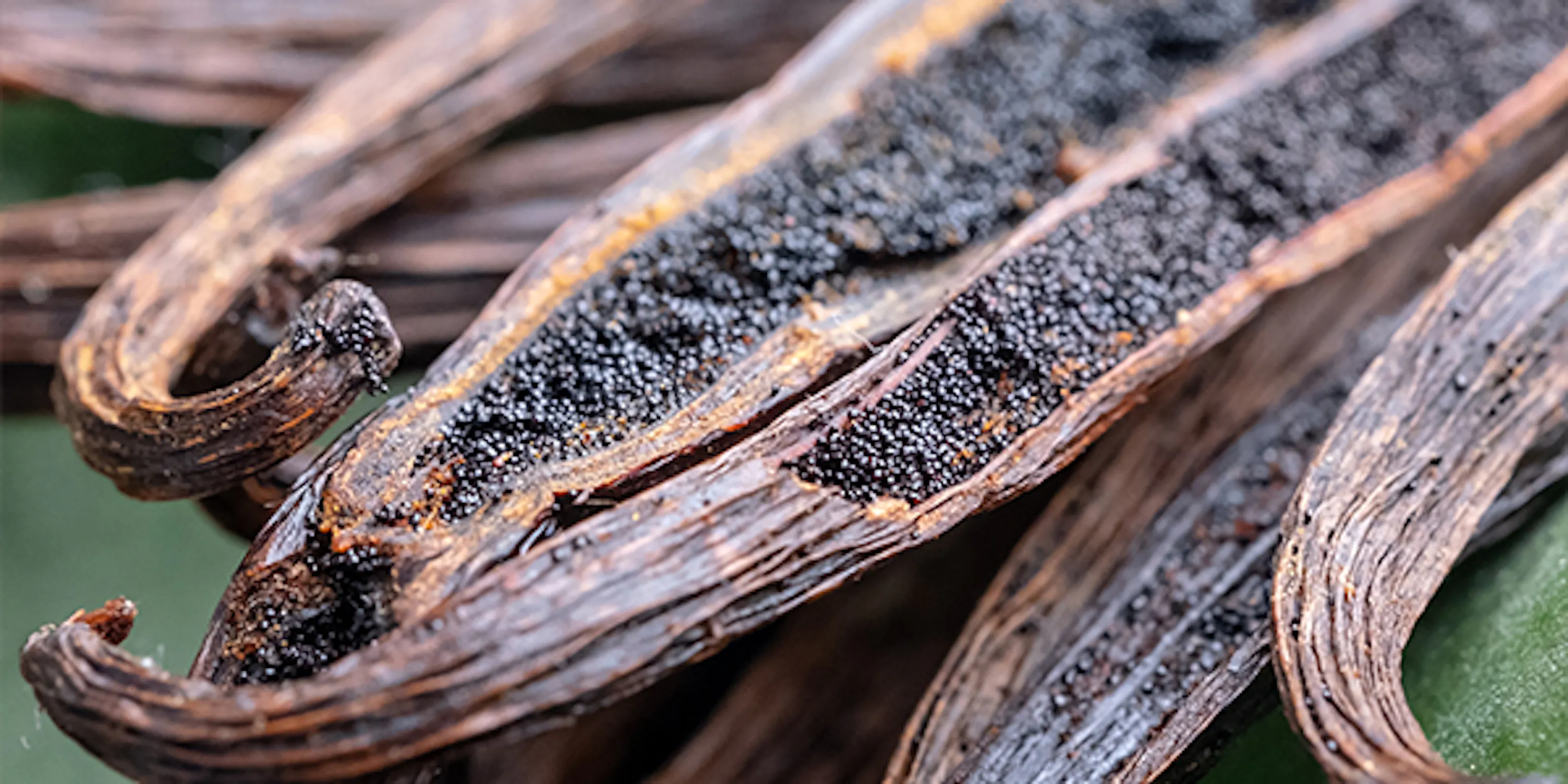 Bourbon Vanilleschoten kaufen | KoRo