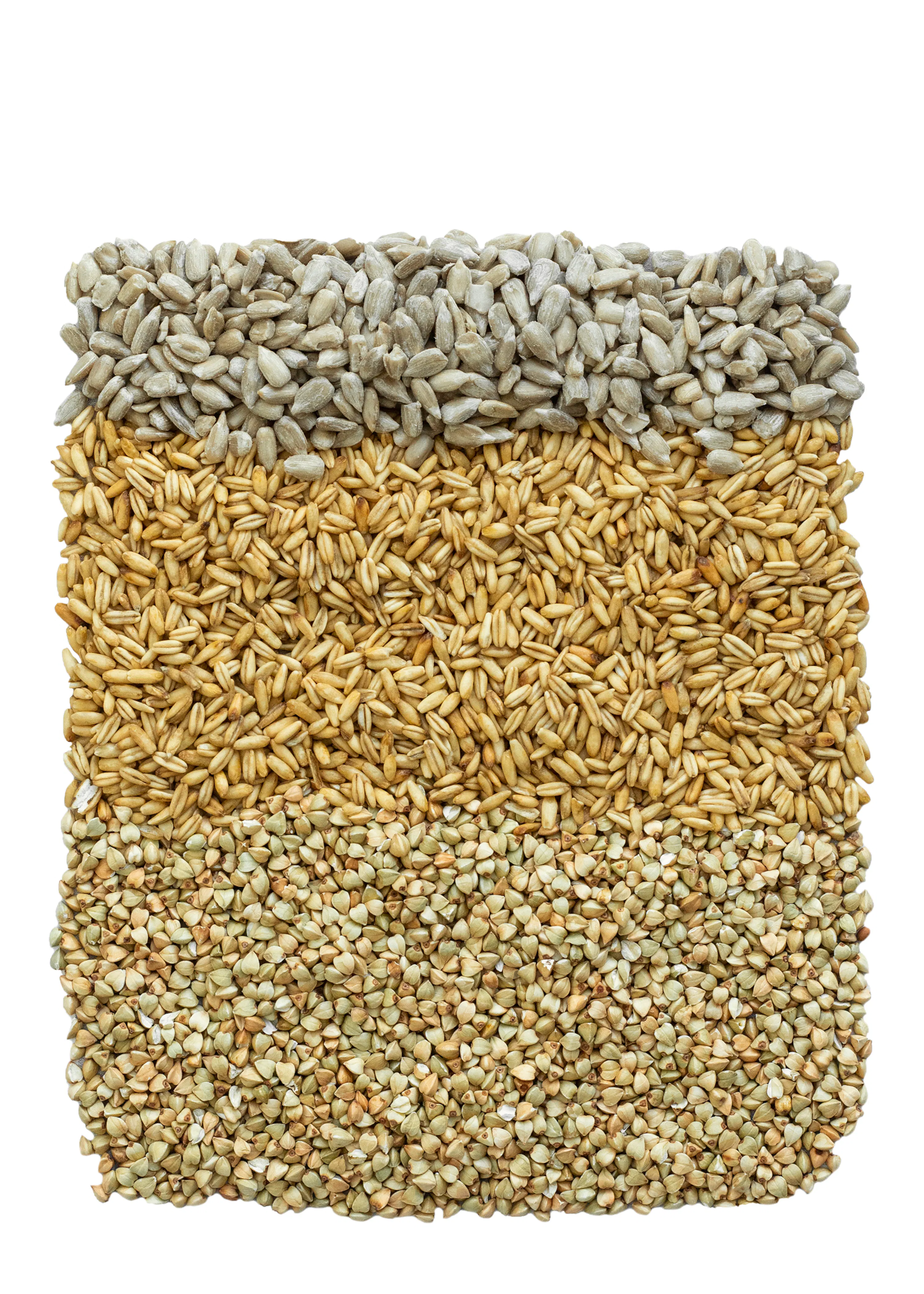 Acquista ora: Muesli germinato bio | 2,5 kg | KoRo Italy