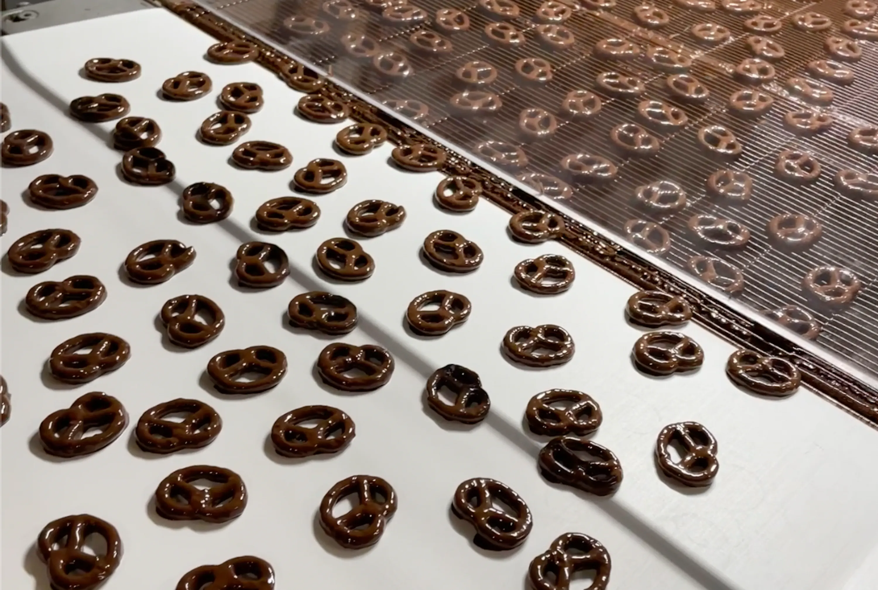 Vegetarische pretzels in pure chocolade 1 kg kopen | KoRo