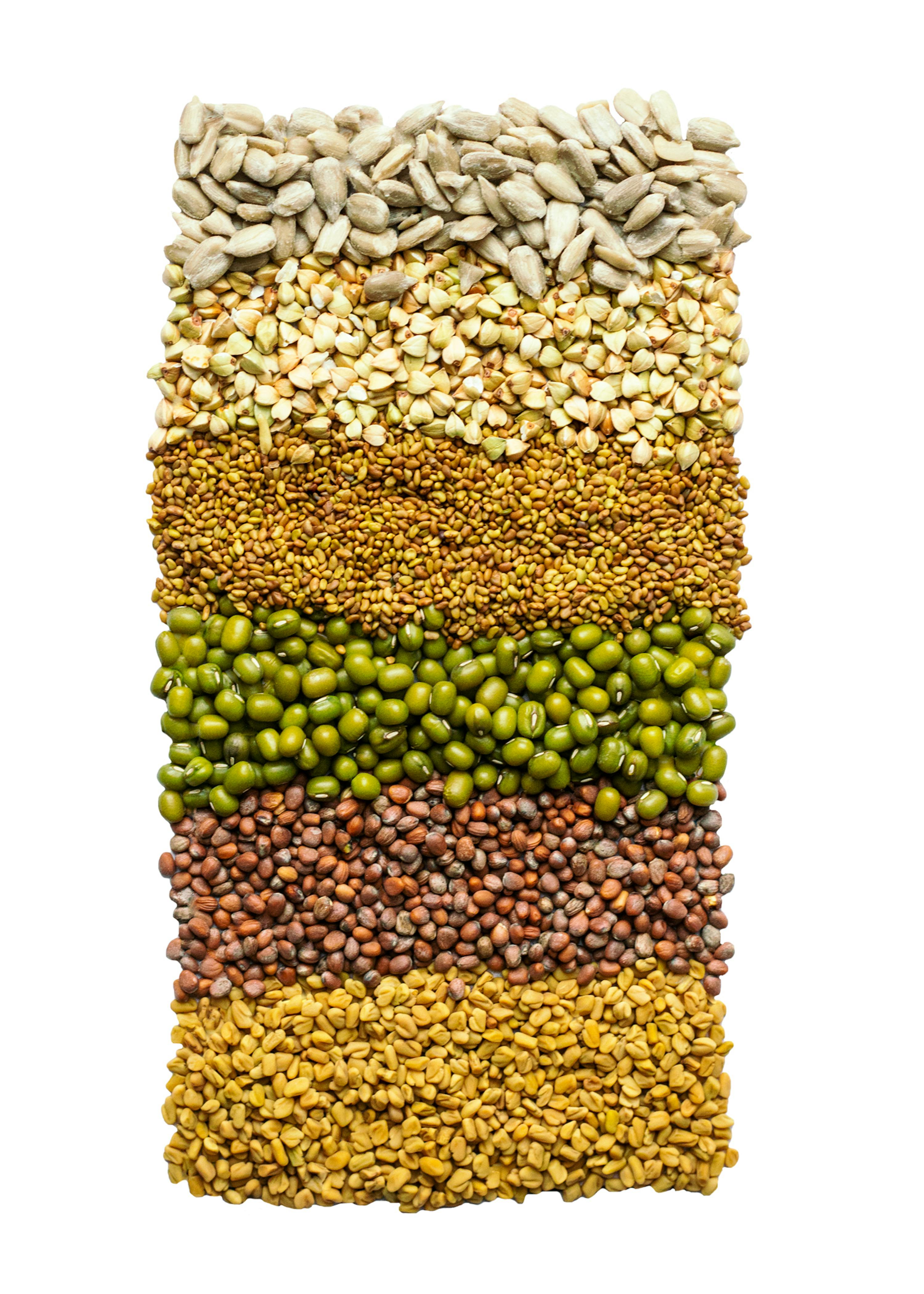 Acheter des sachets de graines à germer bio | KoRo France