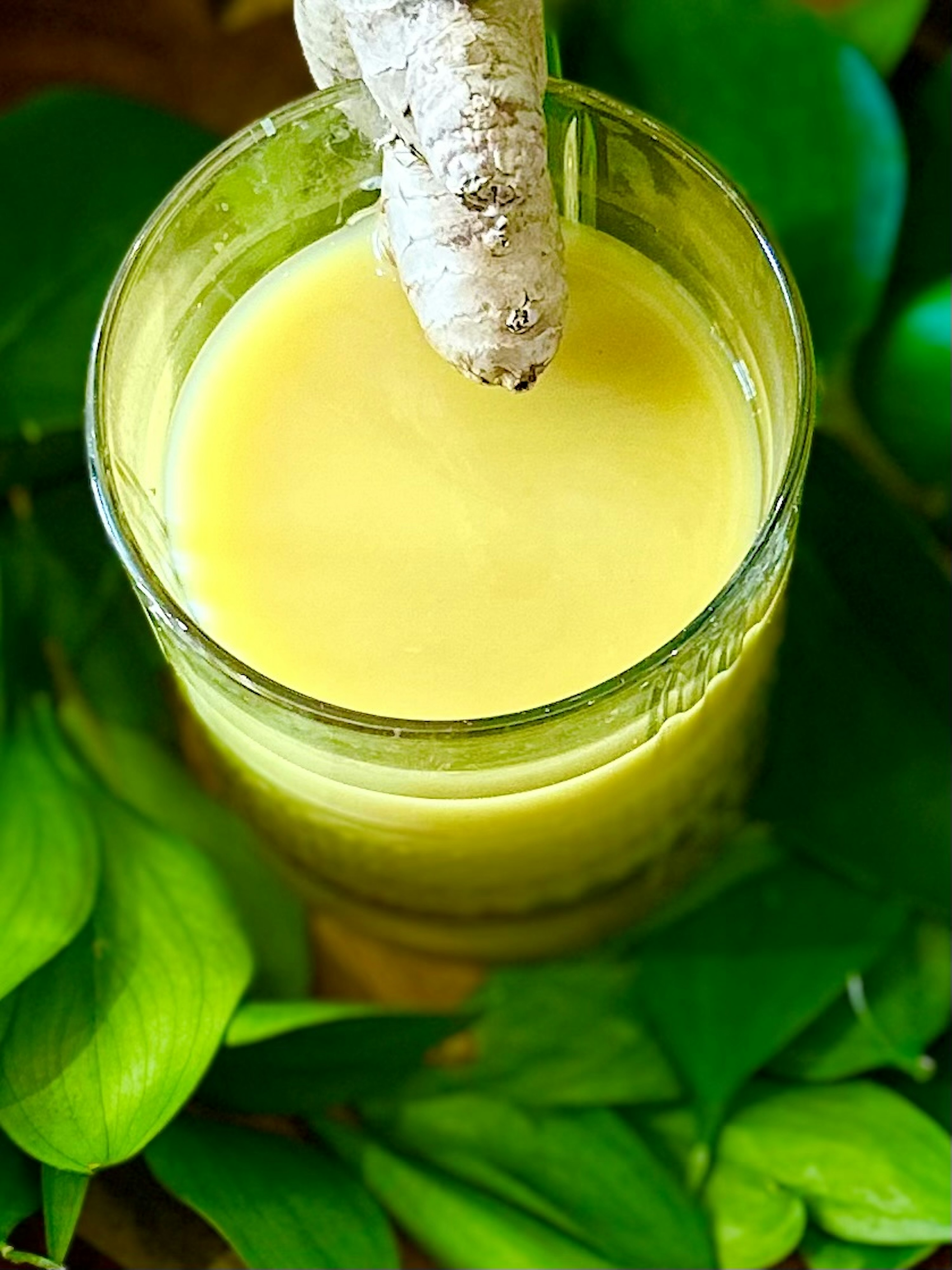 Succo di zenzero bio bag-in-box - acquista ora! | KoRo