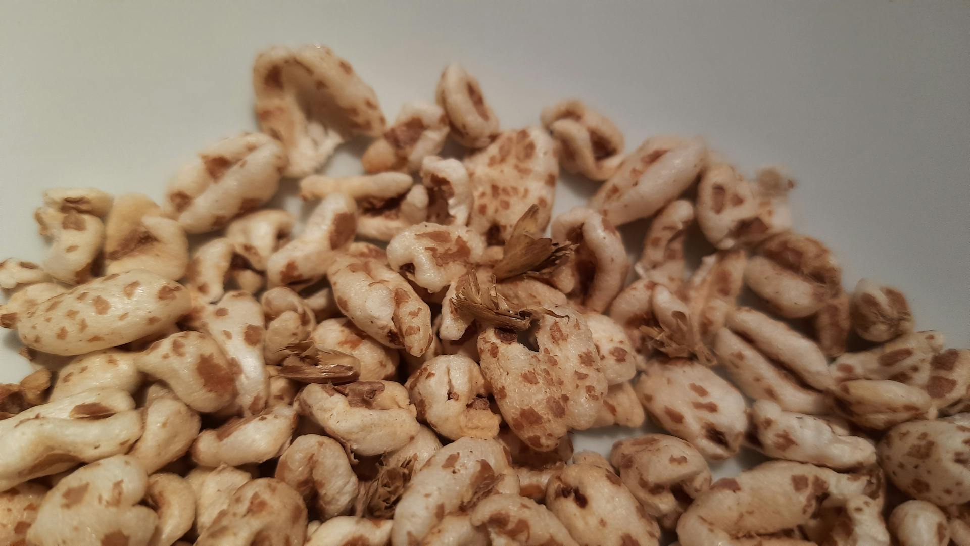 Organic puffed spelt - a real breakfast must | KoRo Germany