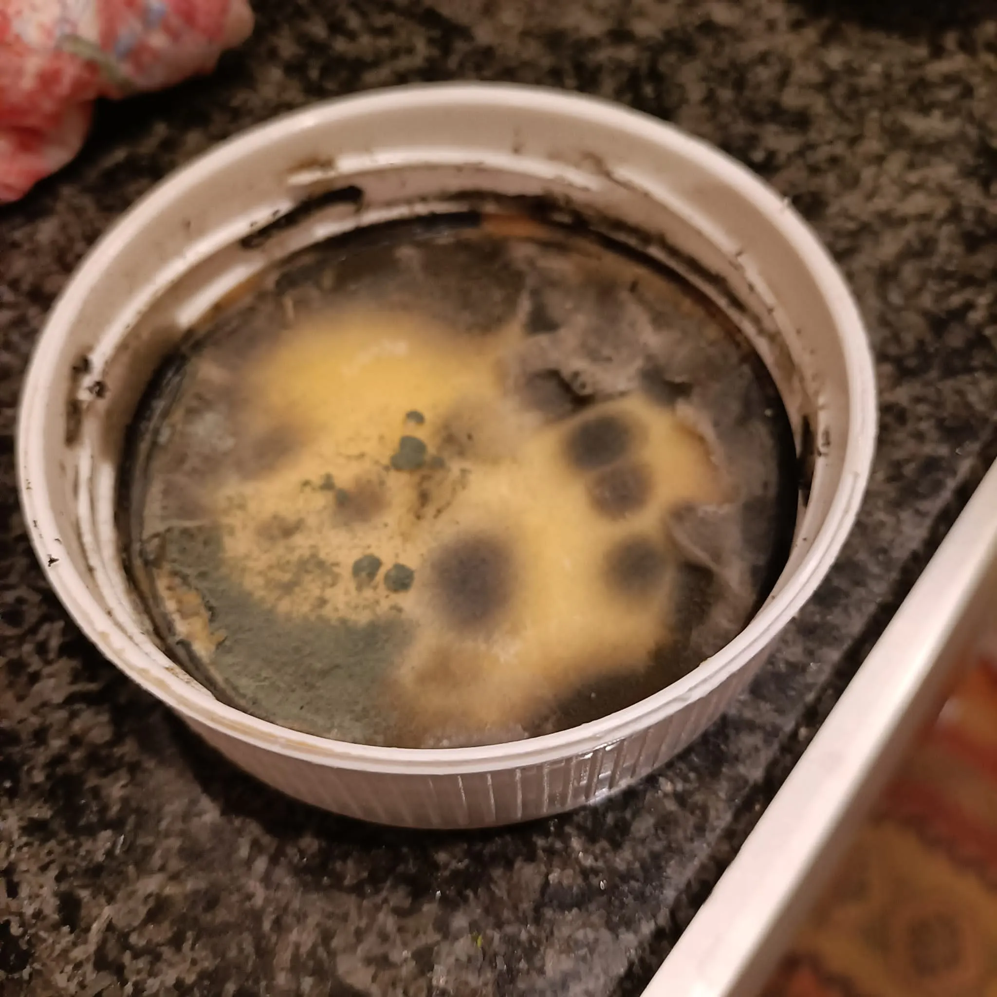 Purée de noix de macadamia 500 g - Sans additif | KoRo
