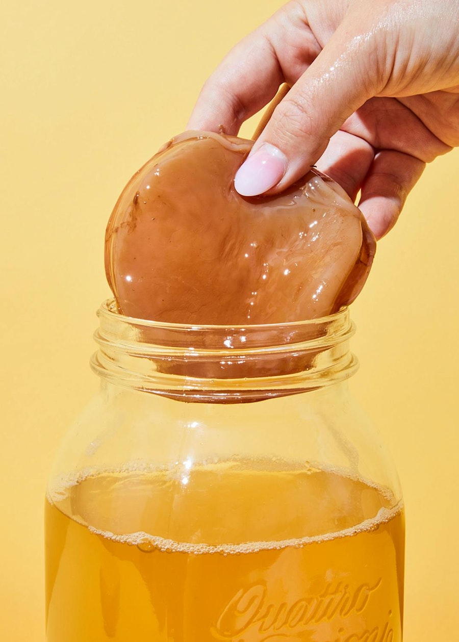 Bio Kombucha Scoby kaufen | KoRo Germany