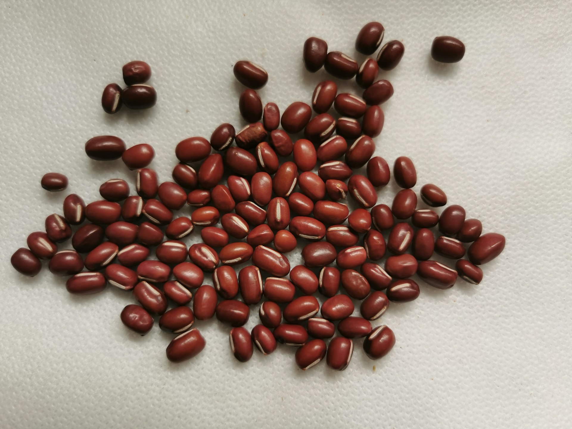 Achetez nos haricots azukis | KoRo