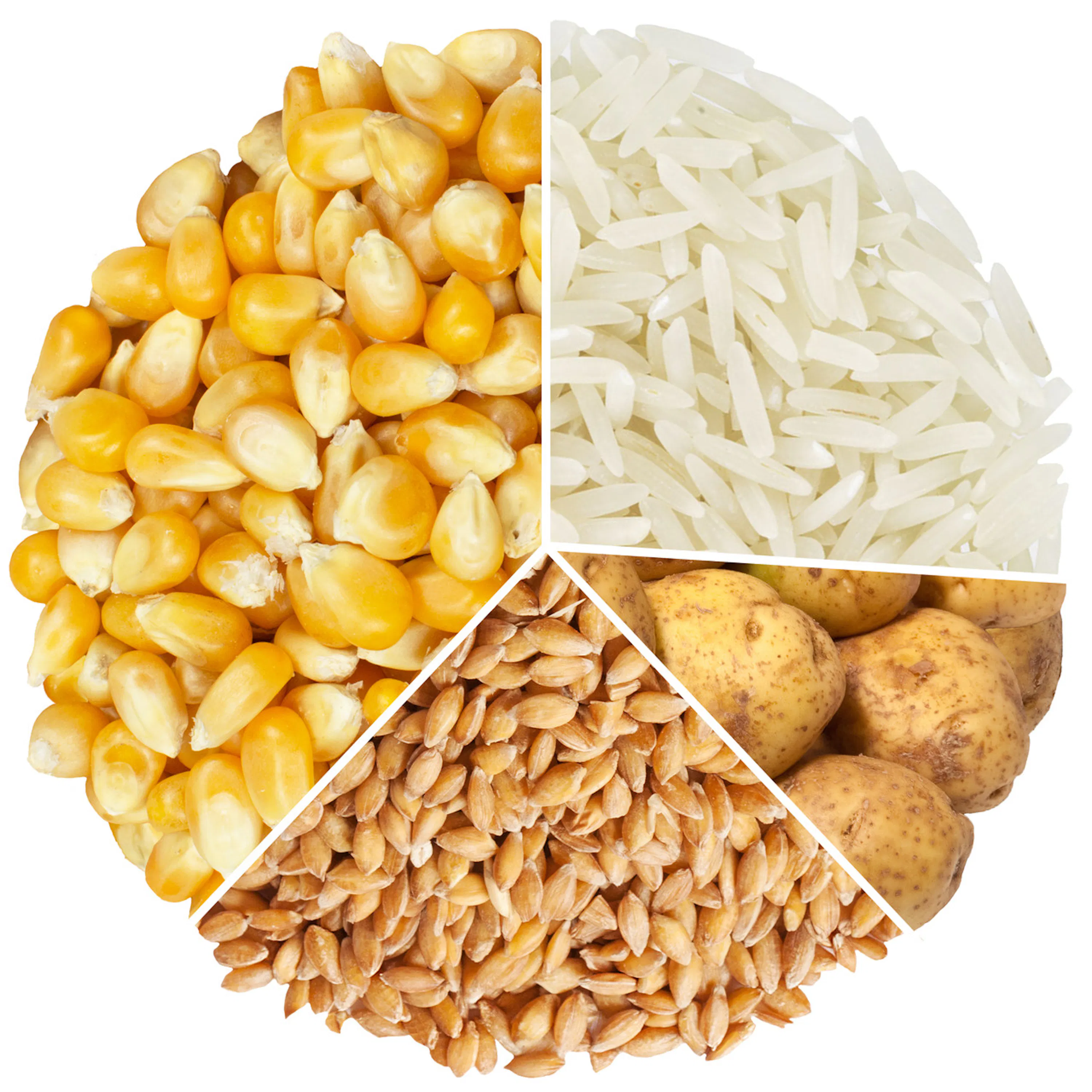 Rice, rice, baby: braunen Bio Basmati-Reis kaufen | KoRo Germany