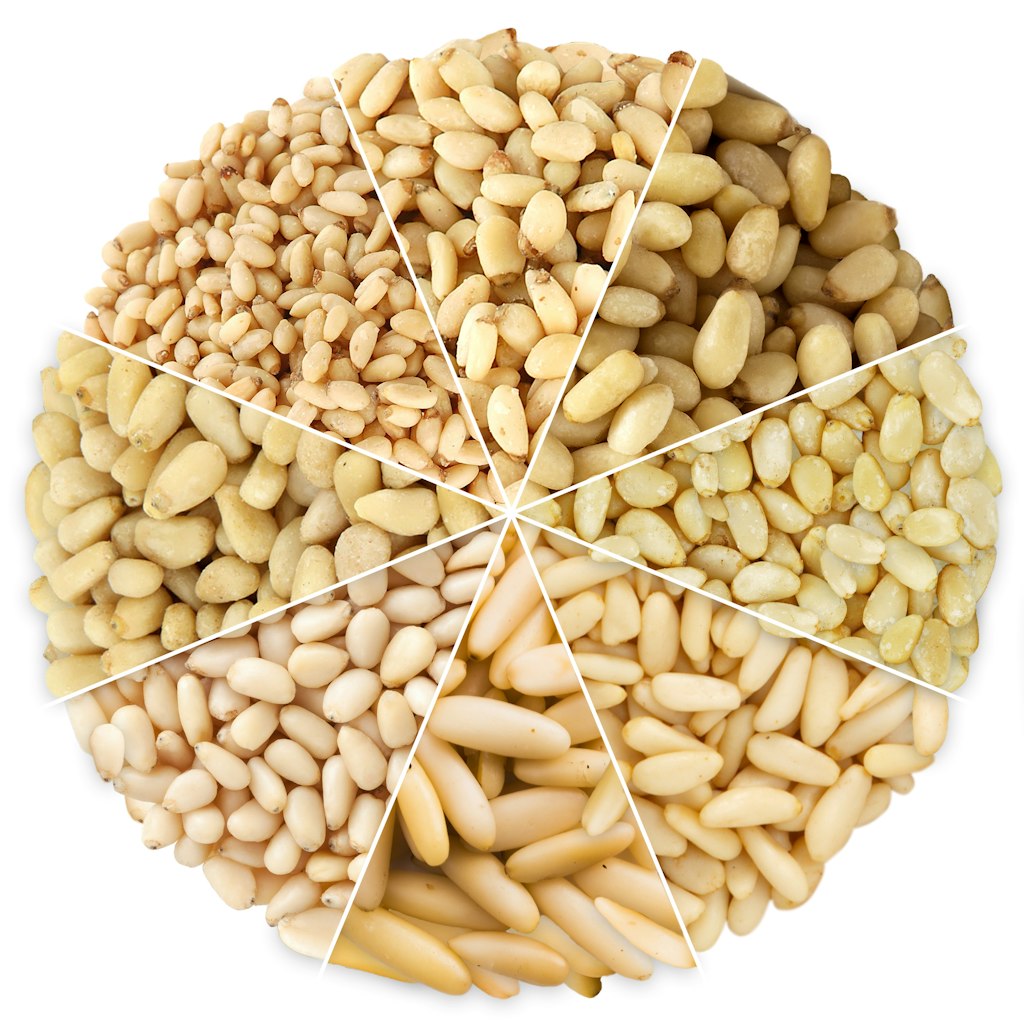 Biologische pijnboompitten | KoRo