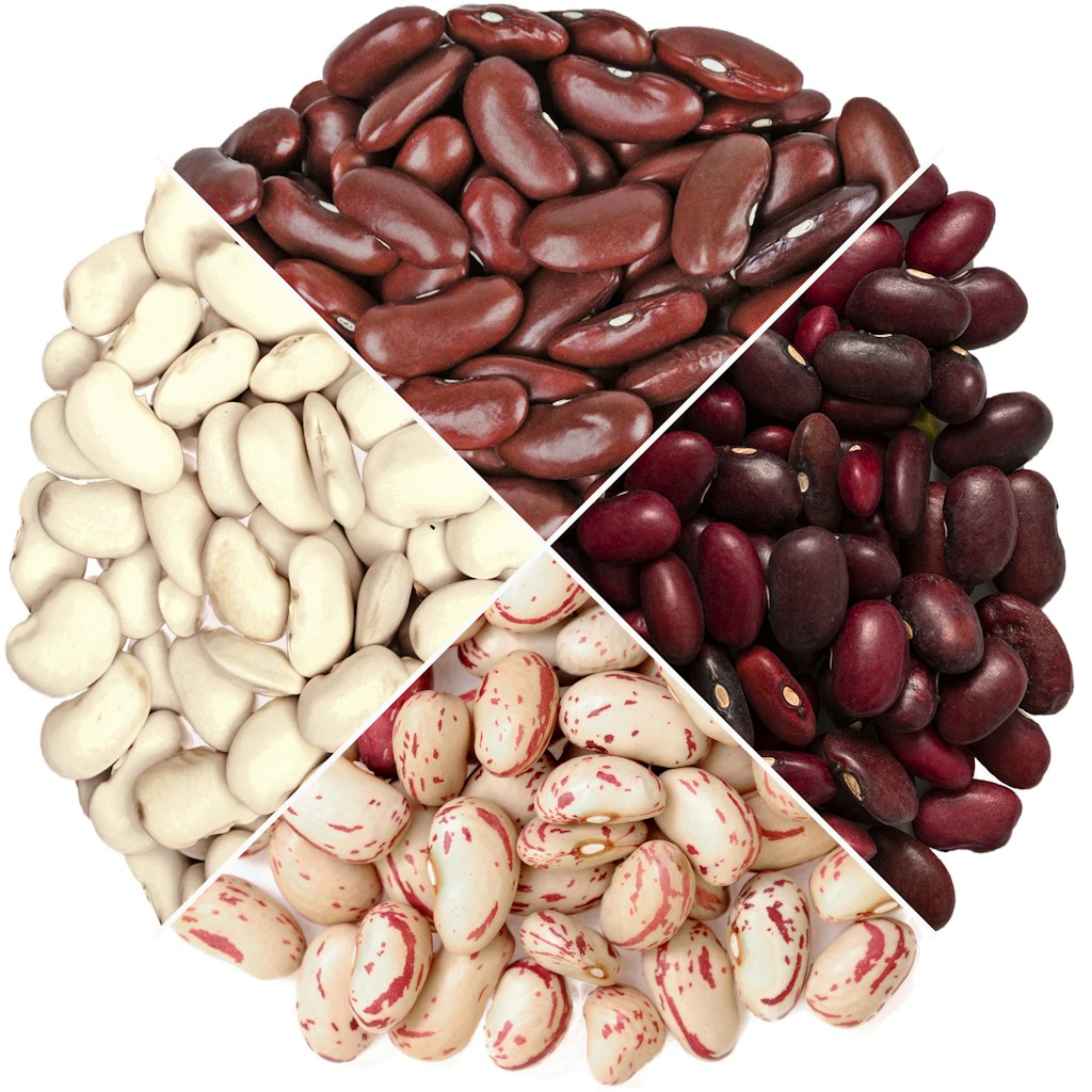 Achetez nos haricots rouges bio | KoRo