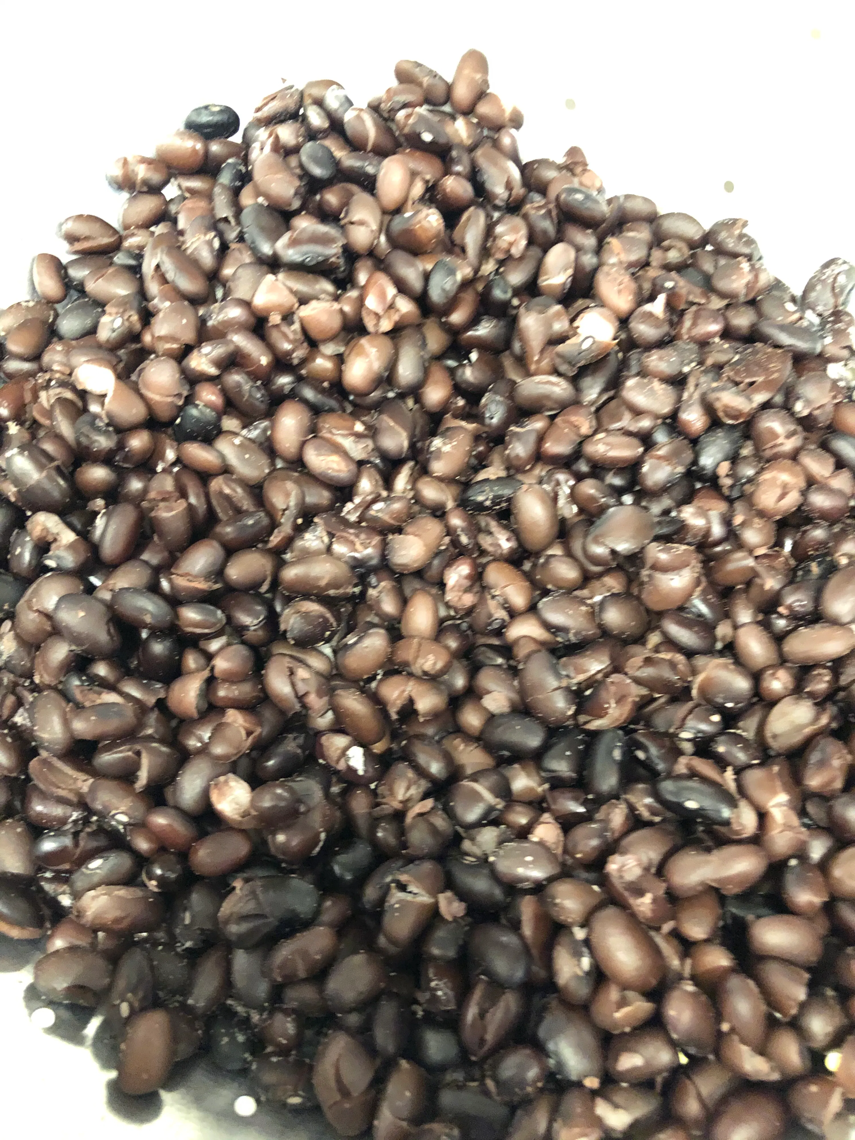 Bio schwarze Bohnen kaufen | KoRo Swiss