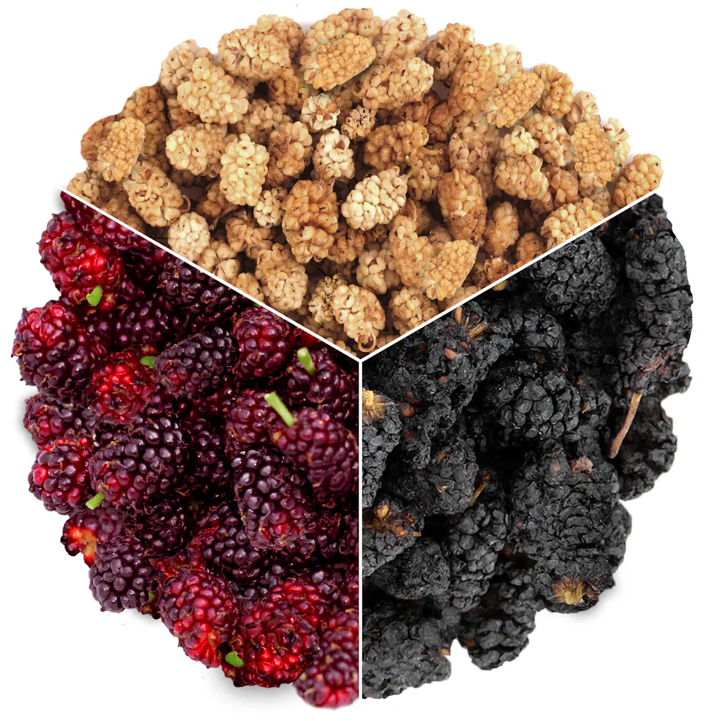 Weiße Bio Maulbeeren kaufen | KoRo