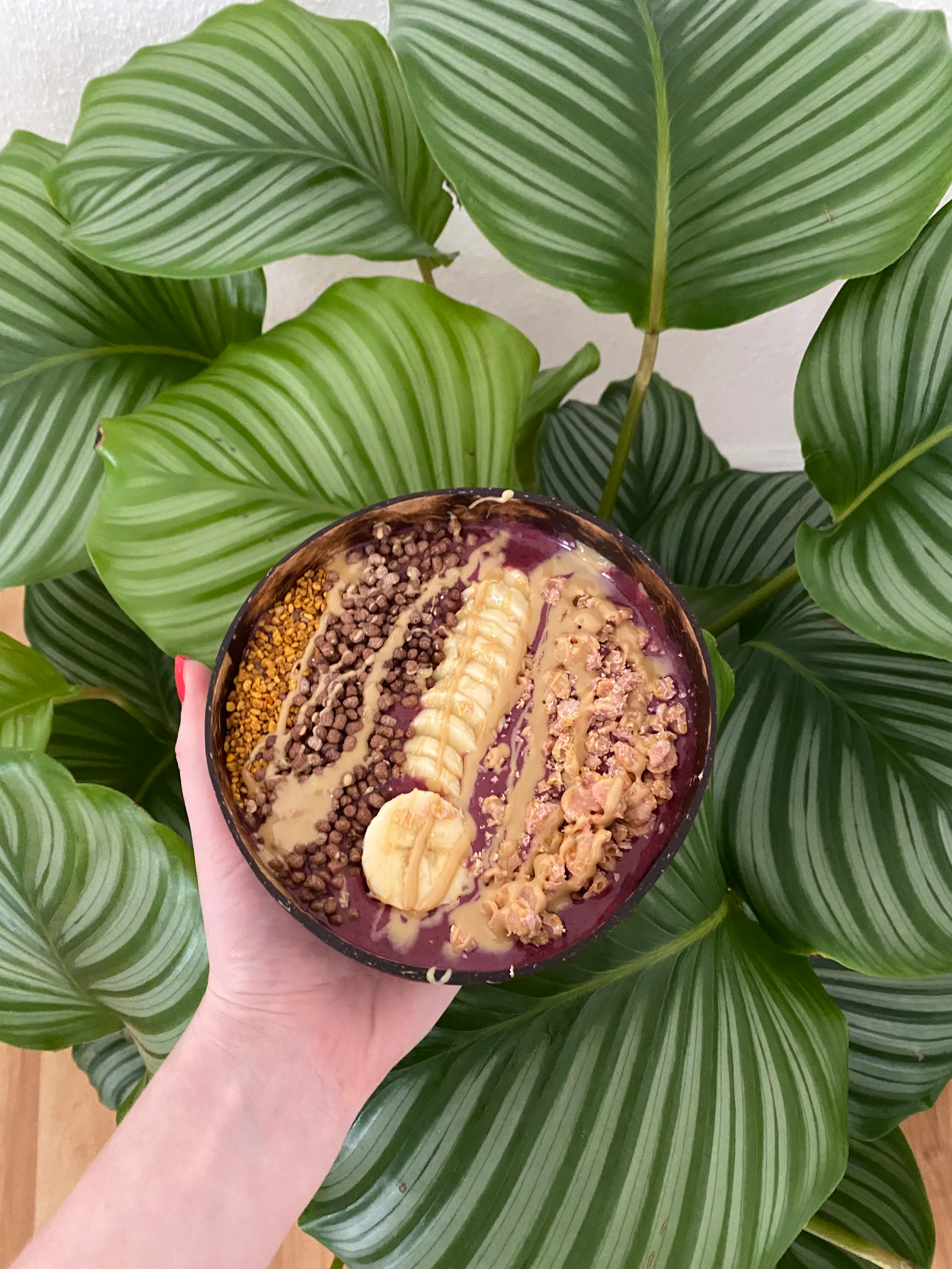Bio Açai Pulver kaufen | KoRo