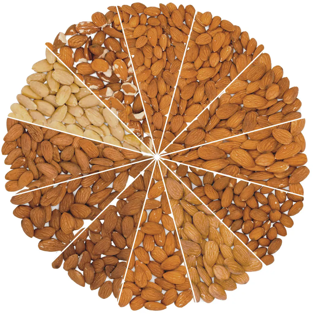 Amandes décortiquées 1 kg - Qualité Premium | KoRo