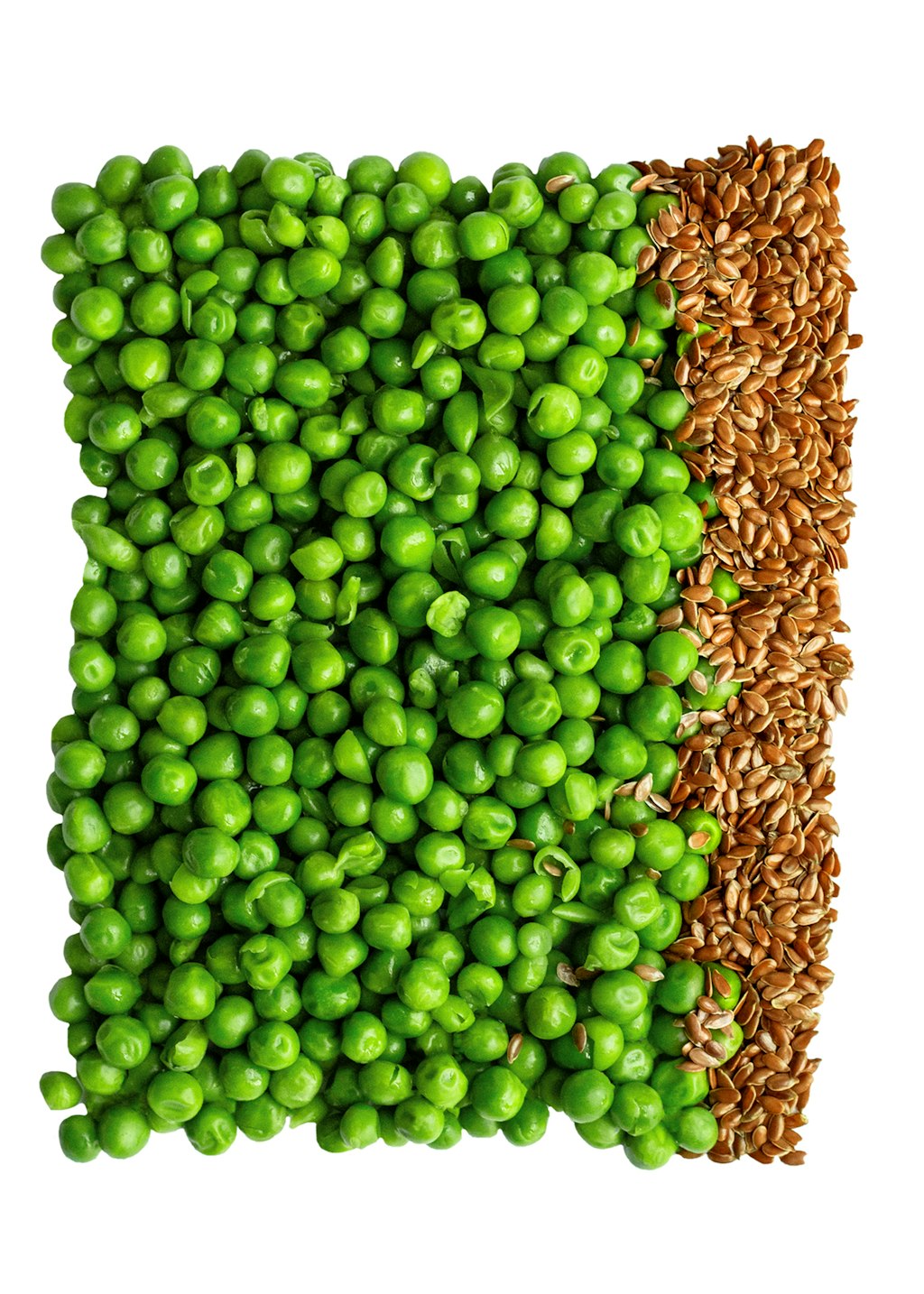 Bio Fusilli aus grünen Erbsen kaufen | KoRo Swiss