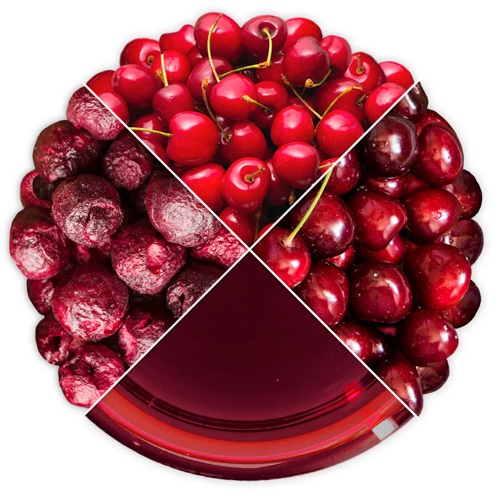 Freeze-dried sour cherries | KoRo