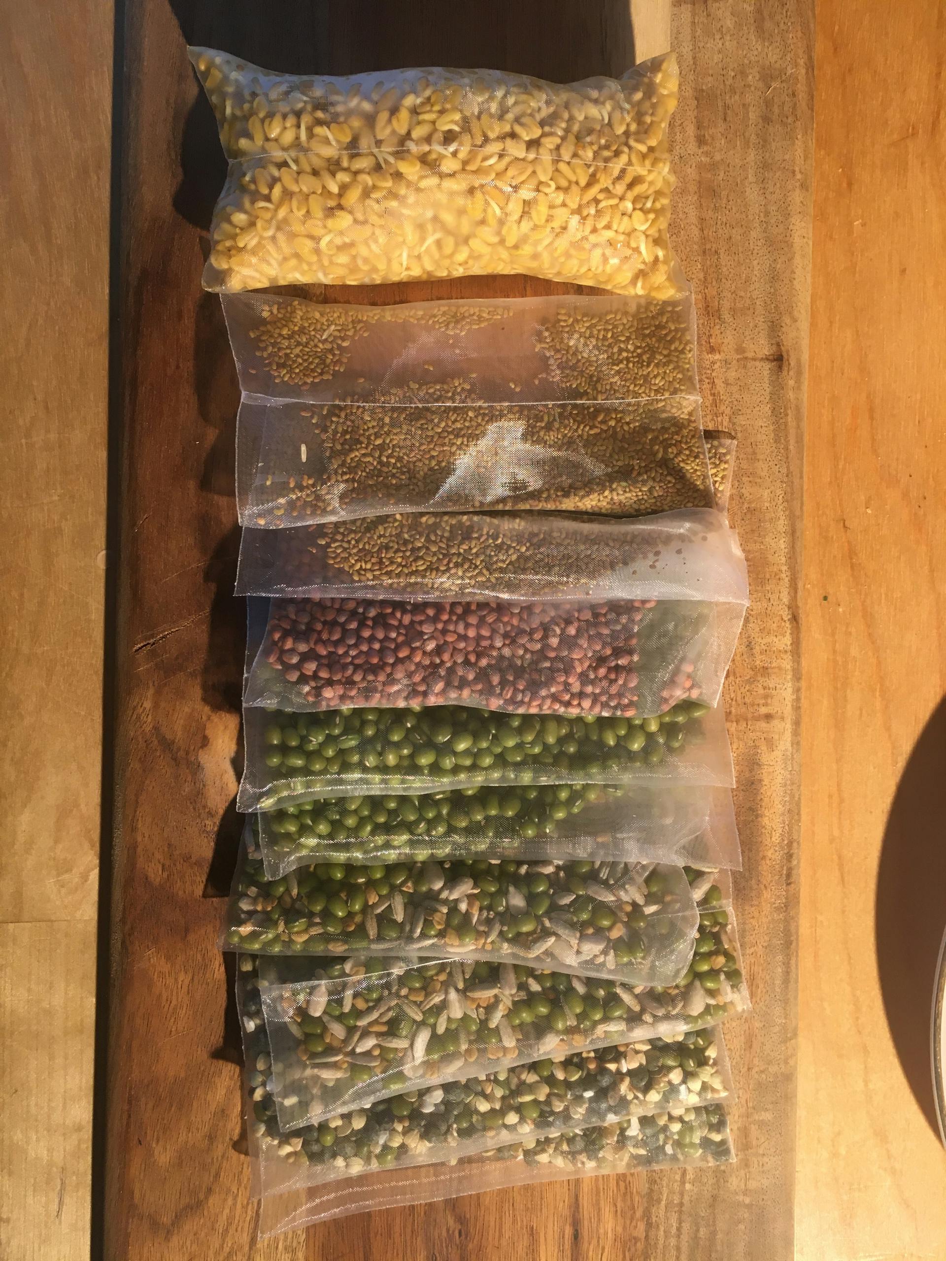 Sprossenbeutel-Box kaufen | KoRo Germany